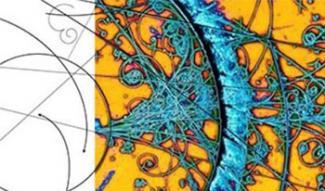 Learning to Discover : Advanced Pattern Recognition | Institut Pascal